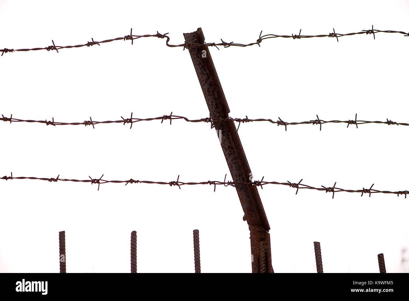 barbed wire fence Stock Photo - Alamy