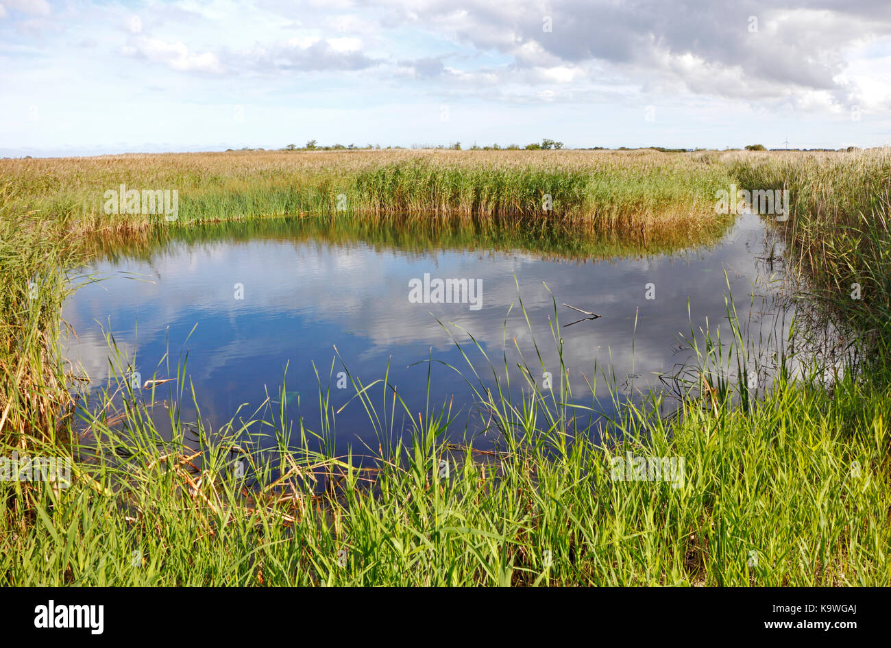 Patch of open water hi-res stock photography and images - Alamy
