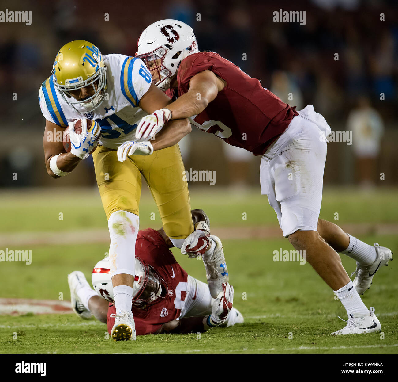 Stanford, California, USA. 23rd Sep, 2017. UCLA Bruins tight end Caleb ...