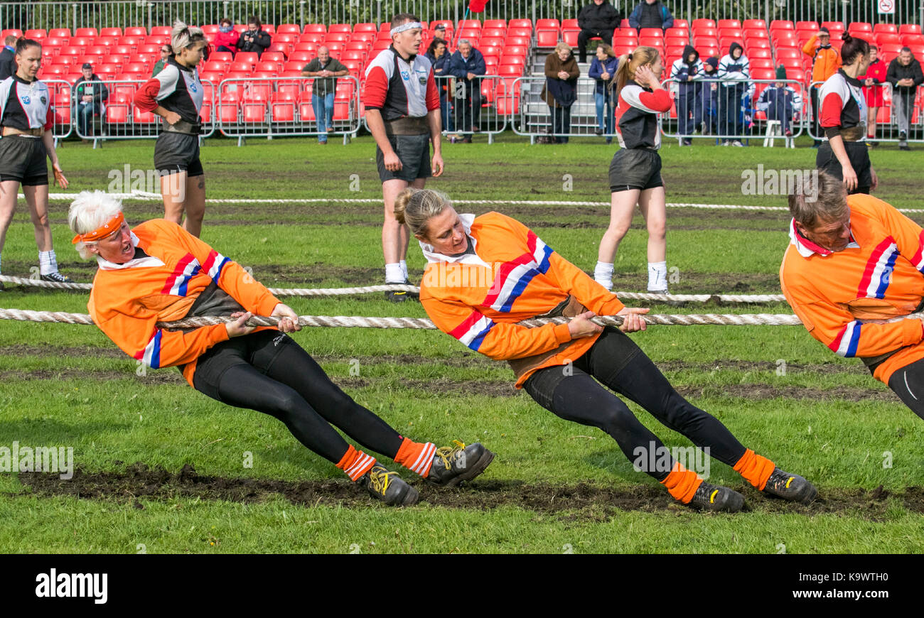 Teamwork, rope challenge, sporting event at Southport, Merseyside, UK ...