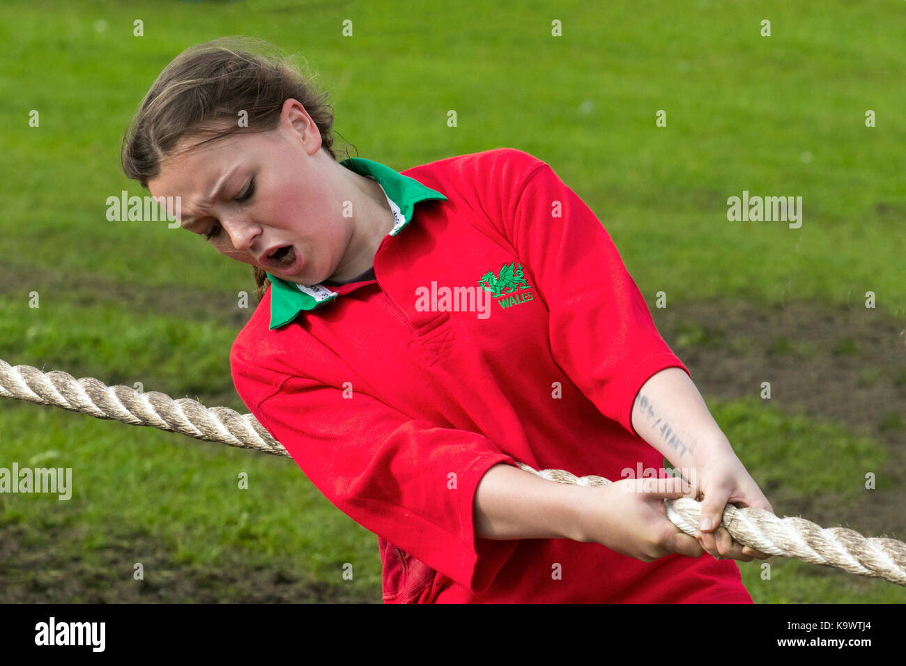 Teamwork, rope challenge, sporting event at Southport, Merseyside, UK ...