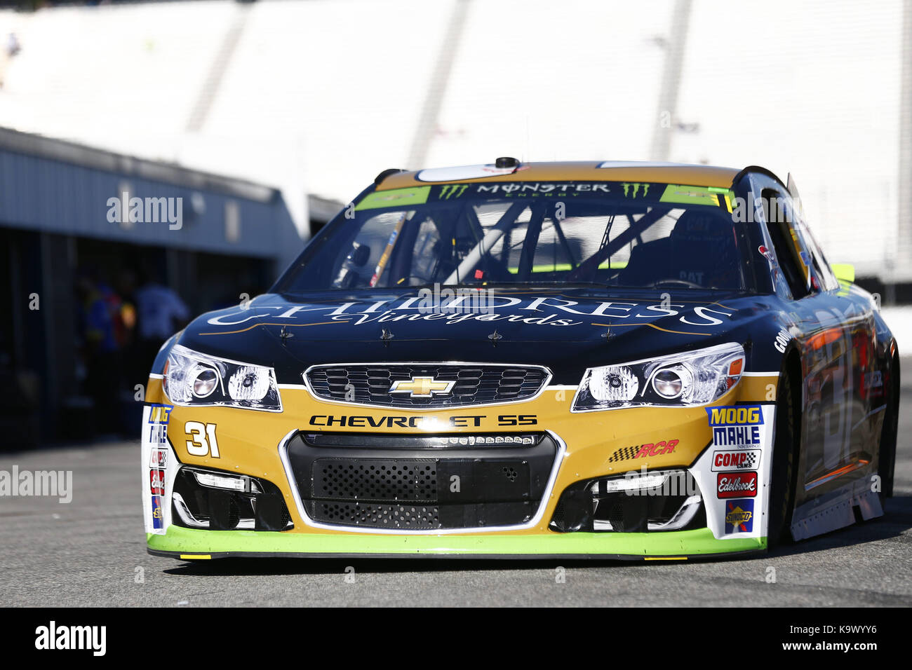 Ryan Newman 31 Clothing
