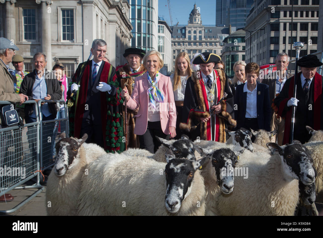 Mary berry chef hi-res stock photography and images - Alamy