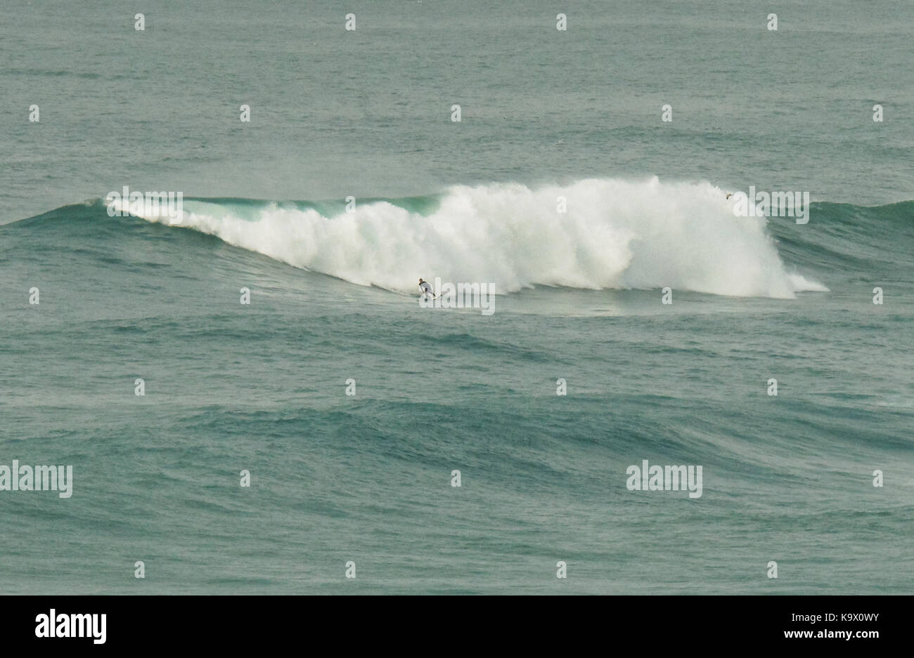 Cribbar wave, The Widowmaker, Newquay, Cornwall,UK Stock Photo - Alamy