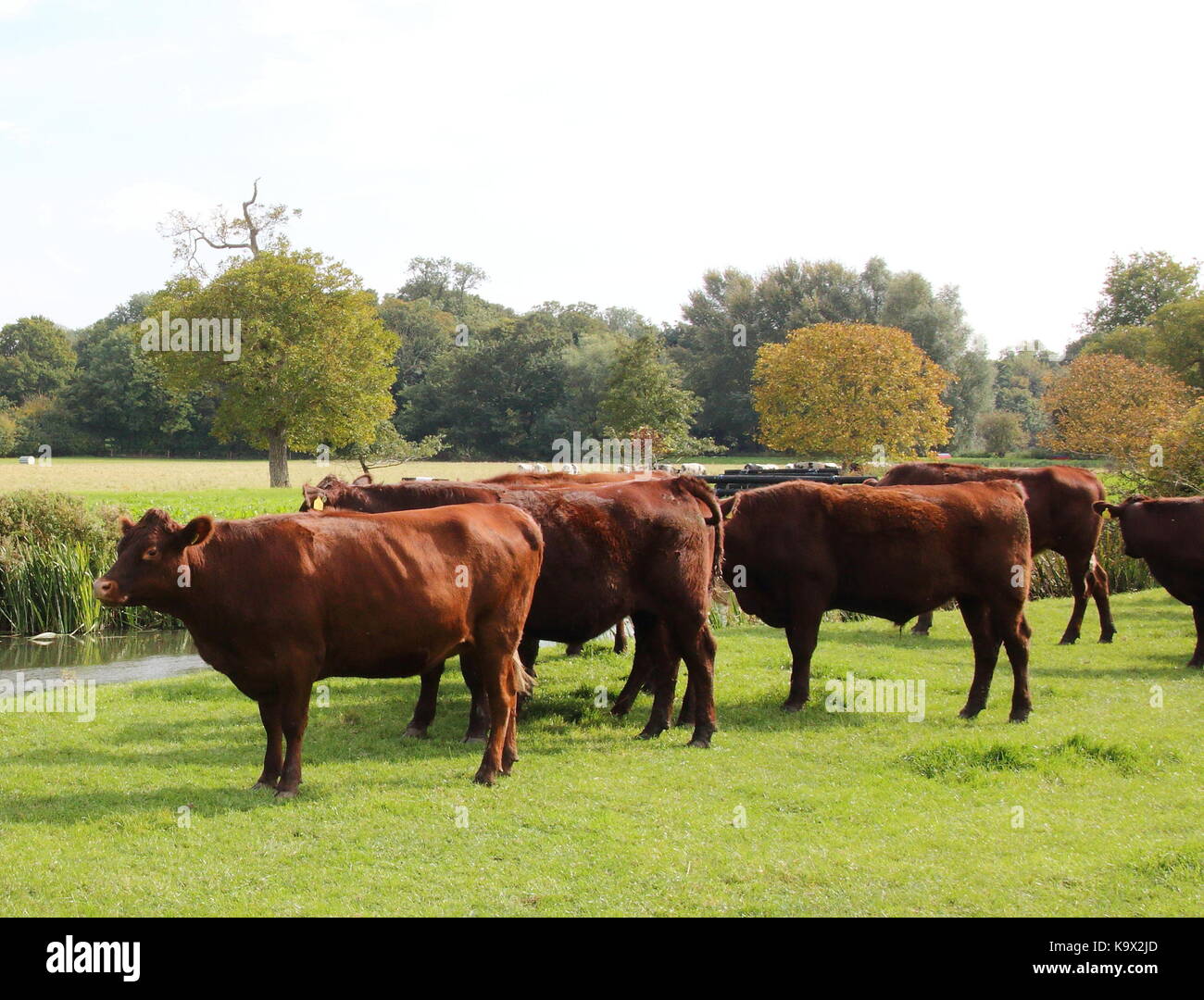 Grantchester village hi-res stock photography and images - Alamy