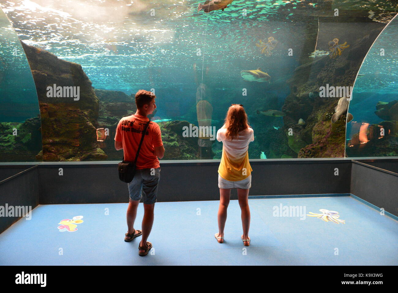 Gournes, Greece. 23rd Sep, 2017. Crete's Aquarium with 2000 sea animals ...