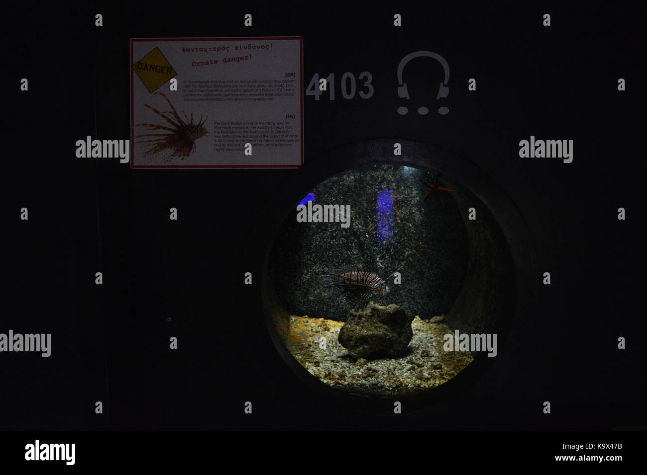 Gournes, Greece. 23rd Sep, 2017. Crete's Aquarium with 2000 sea animals ...