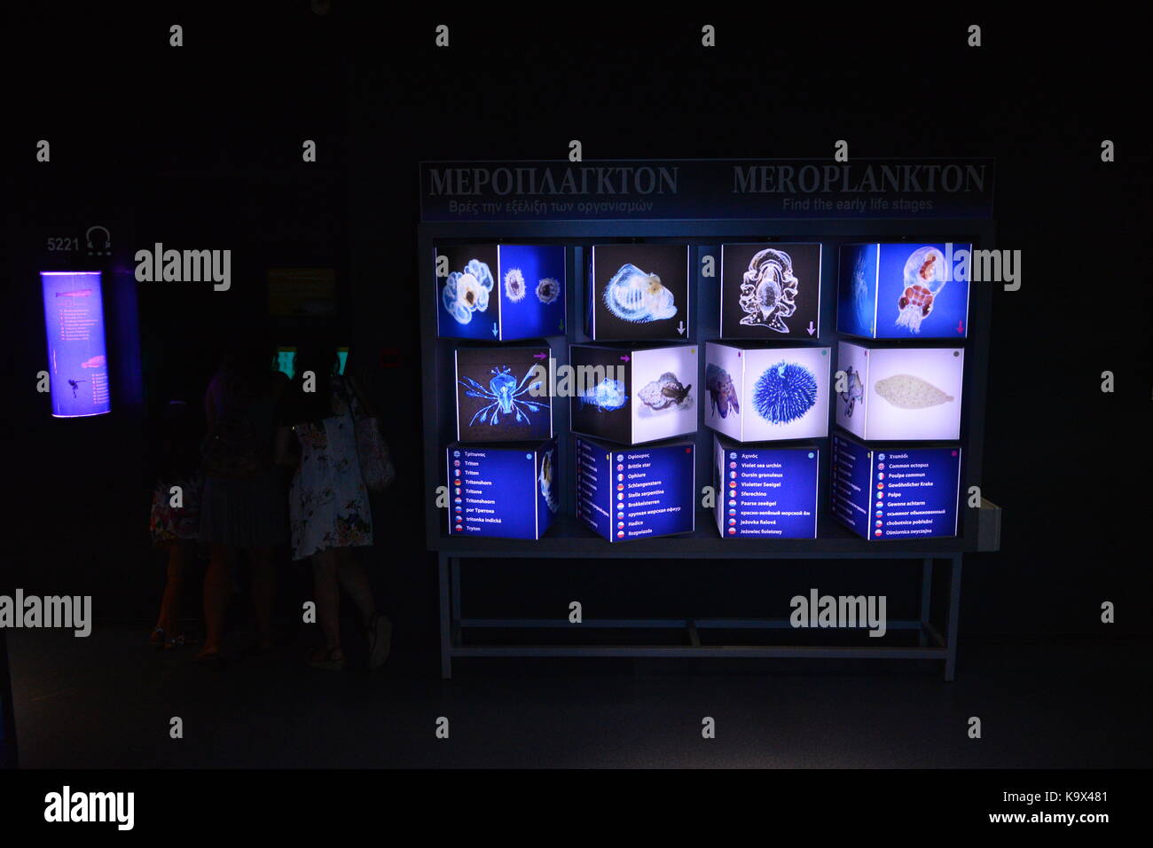 Gournes, Greece. 23rd Sep, 2017. Crete's Aquarium with 2000 sea animals ...