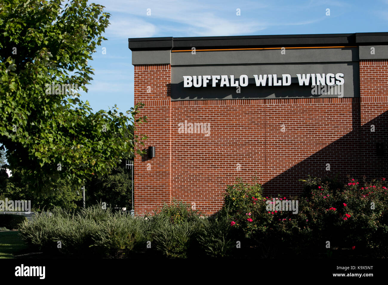 Buffalo Wild Wings Logo High Resolution Stock Photography and Images ...