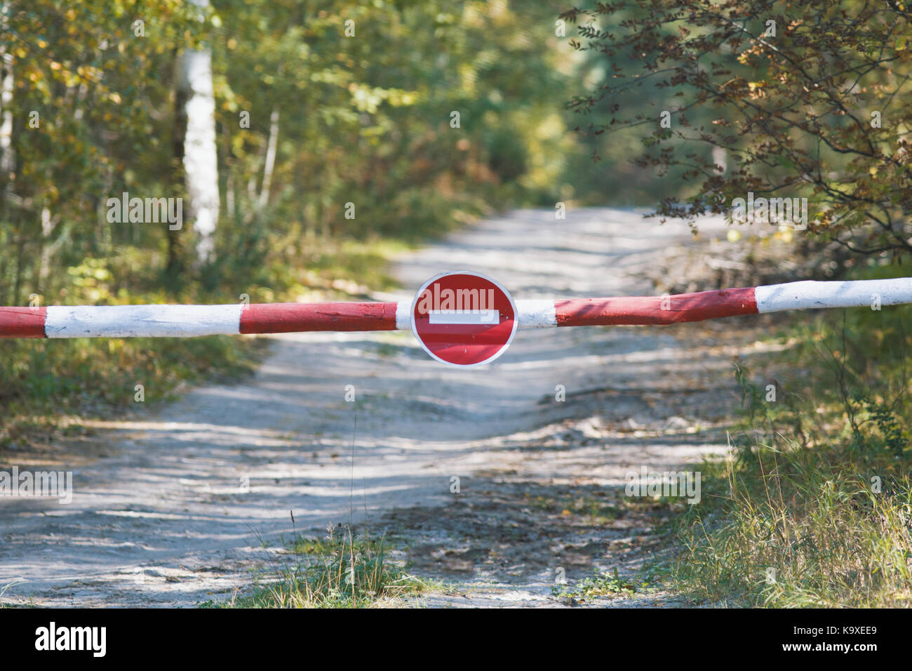 No entry sign in forest - path representing environmental protection ...