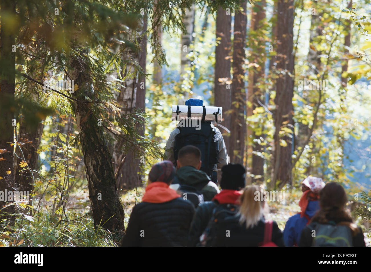 Backpacking and camping - tourists walking in autumn forest Stock Photo ...