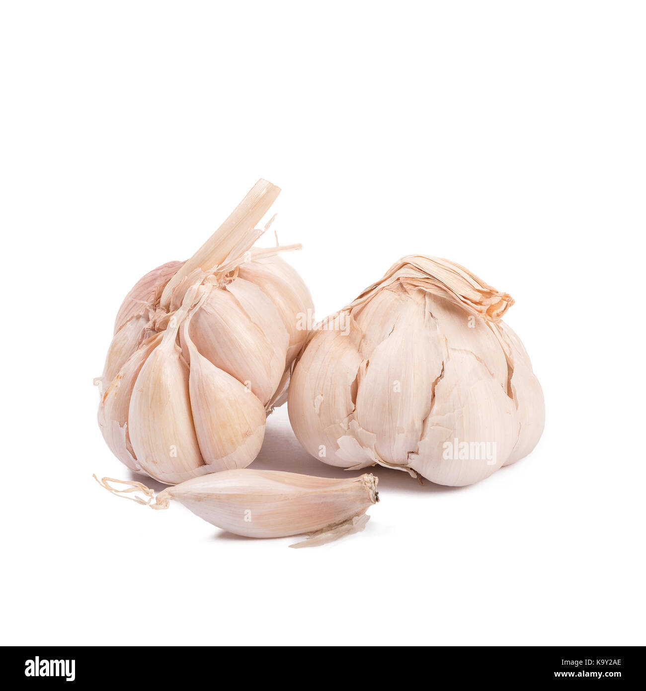 Isolated garlic. Raw garlic isolated on white background Stock Photo ...
