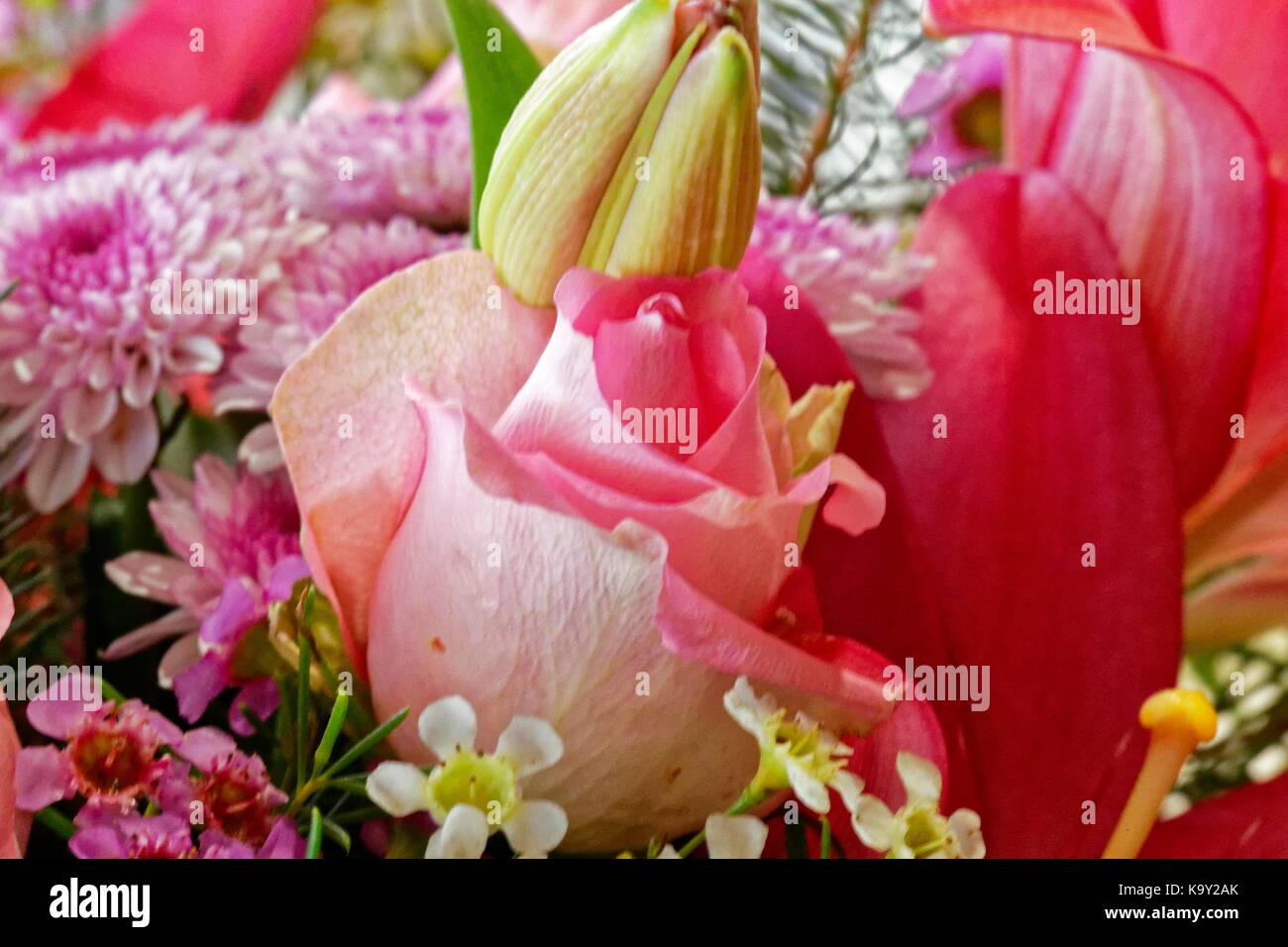 Roses And Mixed Flowers Stock Photo - Alamy