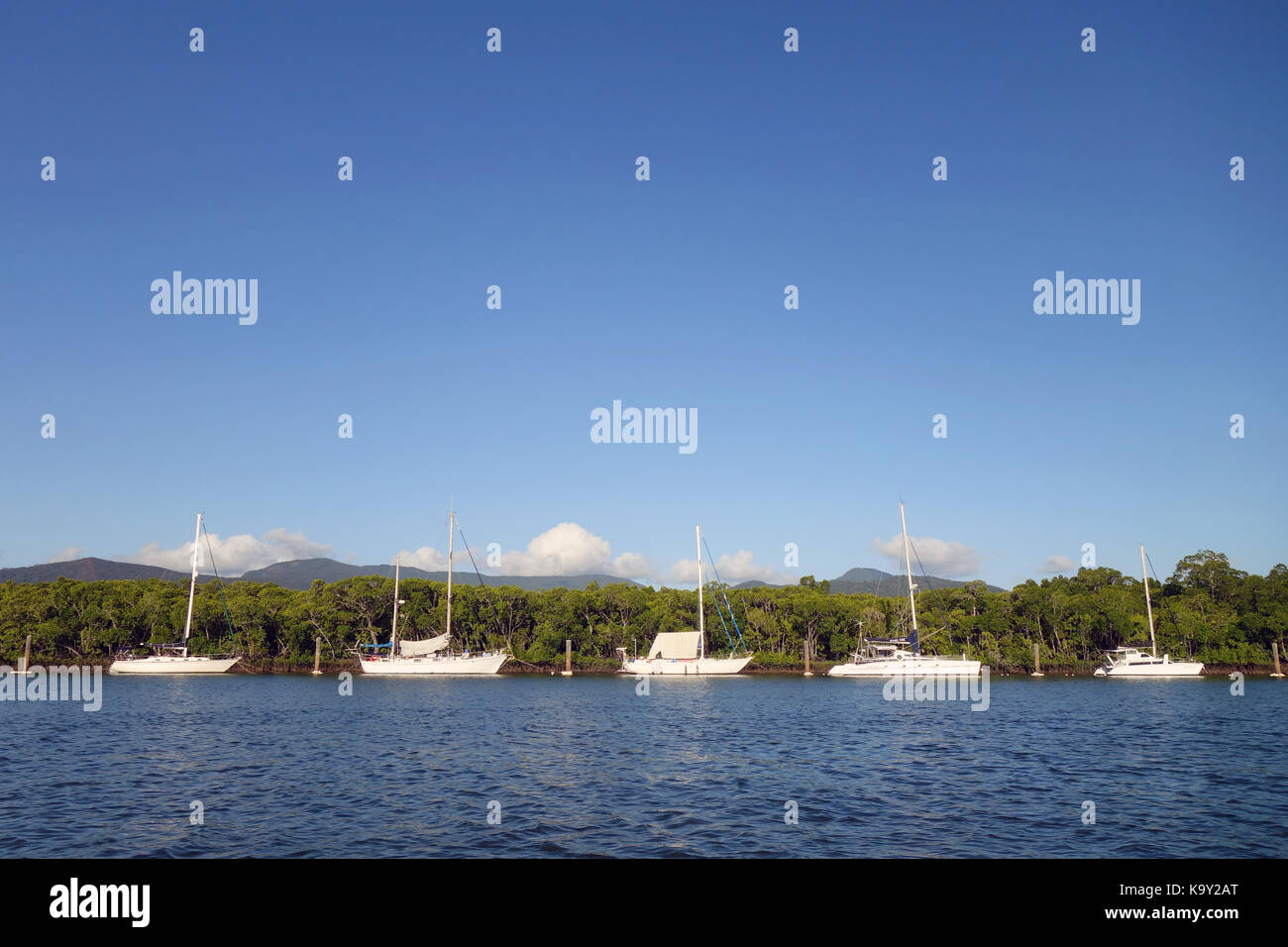 Yachts moored near mangroves in Trinity Inlet, Cairns, Queensland ...