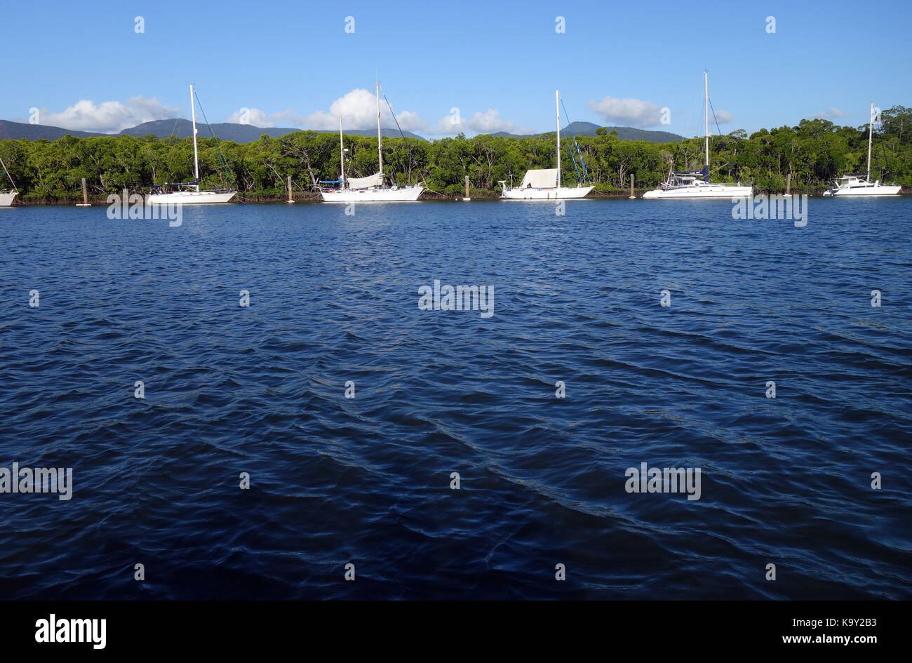 Yachts moored near mangroves in Trinity Inlet, Cairns, Queensland ...