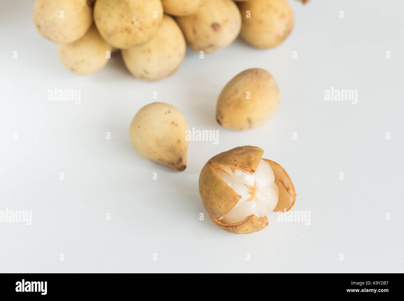 Lansium parasiticum, also known as Longkong or Langsat is tropical ...