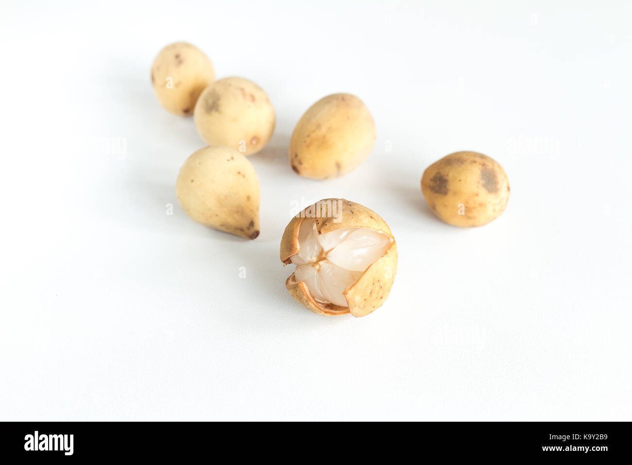 Lansium parasiticum, also known as Longkong or Langsat is tropical ...