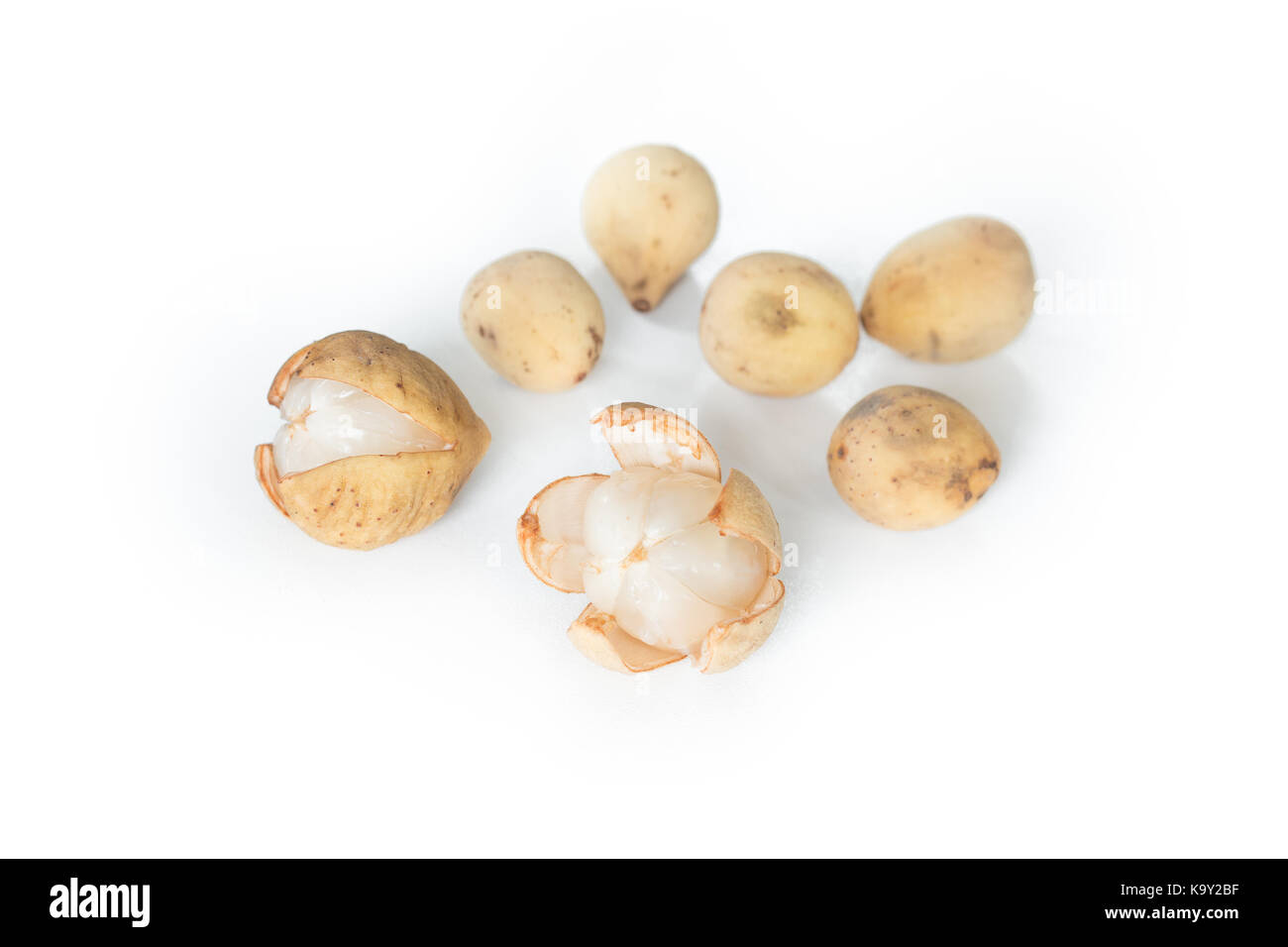 Lansium parasiticum, also known as Longkong or Langsat is tropical ...