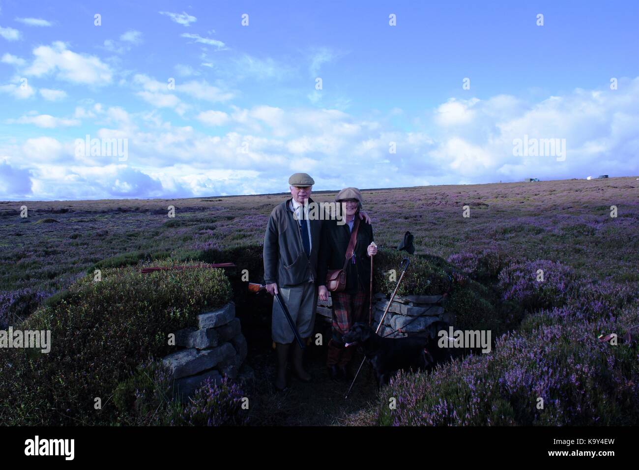 Game Shooting, Bird Shooting, Field Sport, Pheasant Shoot ...