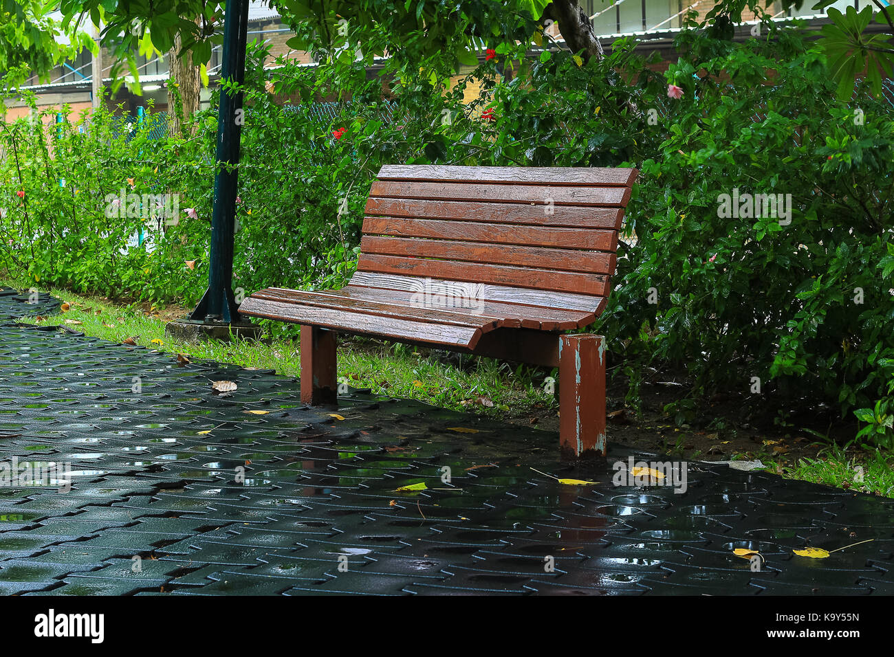 Bench made from wood beside at the park during rain drop Stock Photo ...