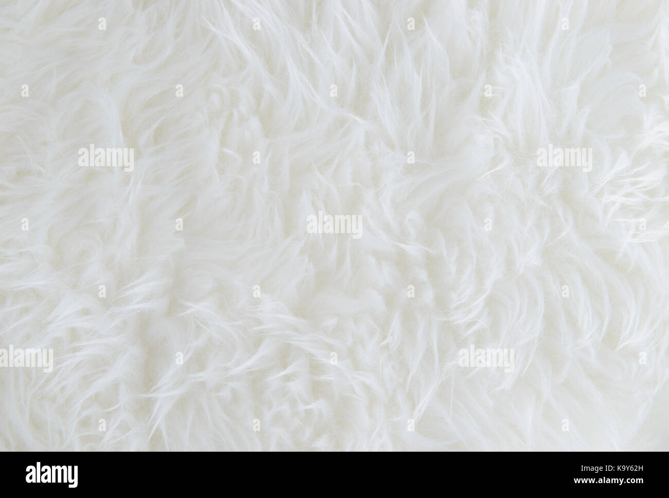 White fur texture background Stock Photo - Alamy