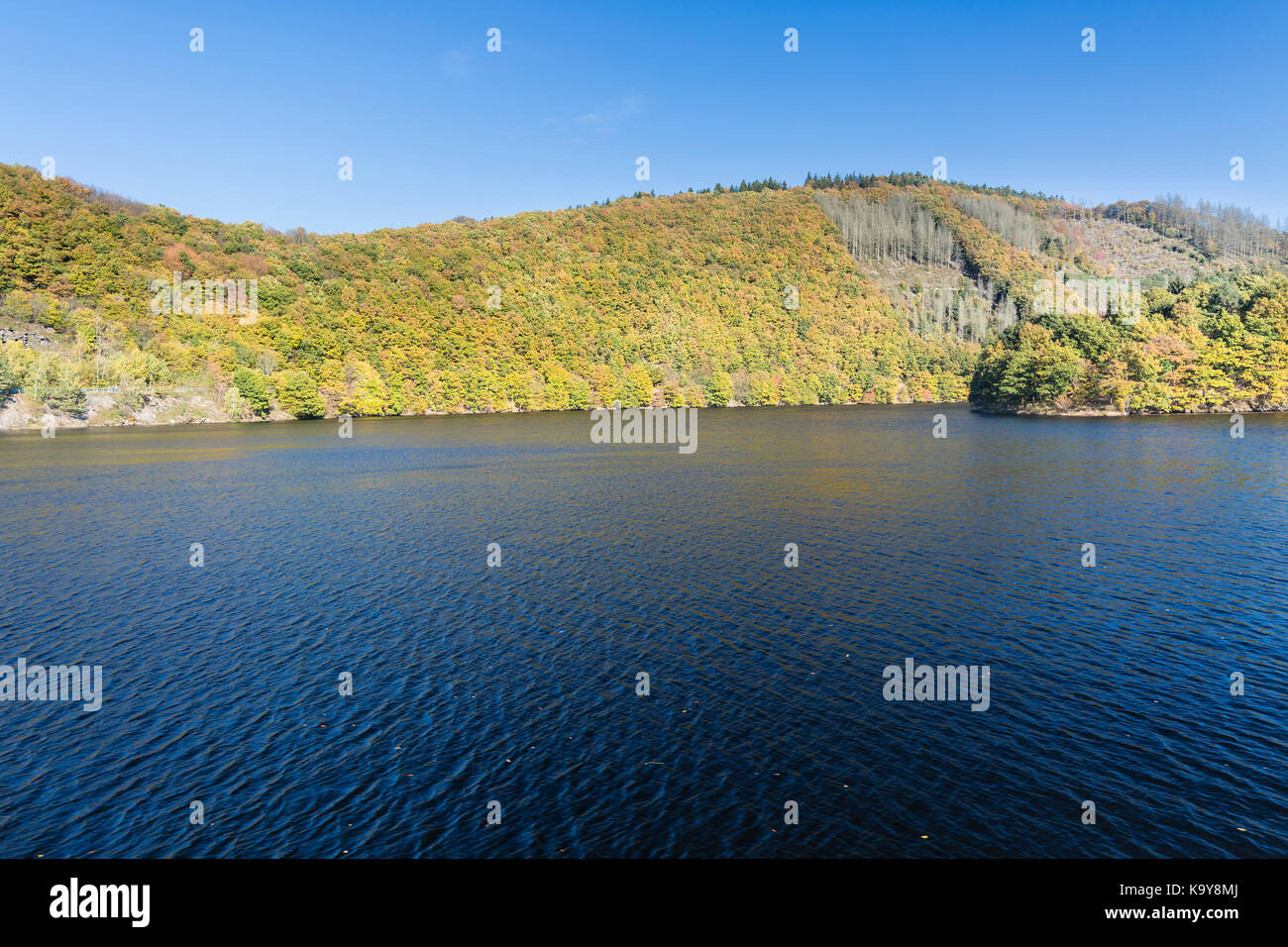 View to the shore of lake Rursee in the Eifel in Germany in fall Stock ...