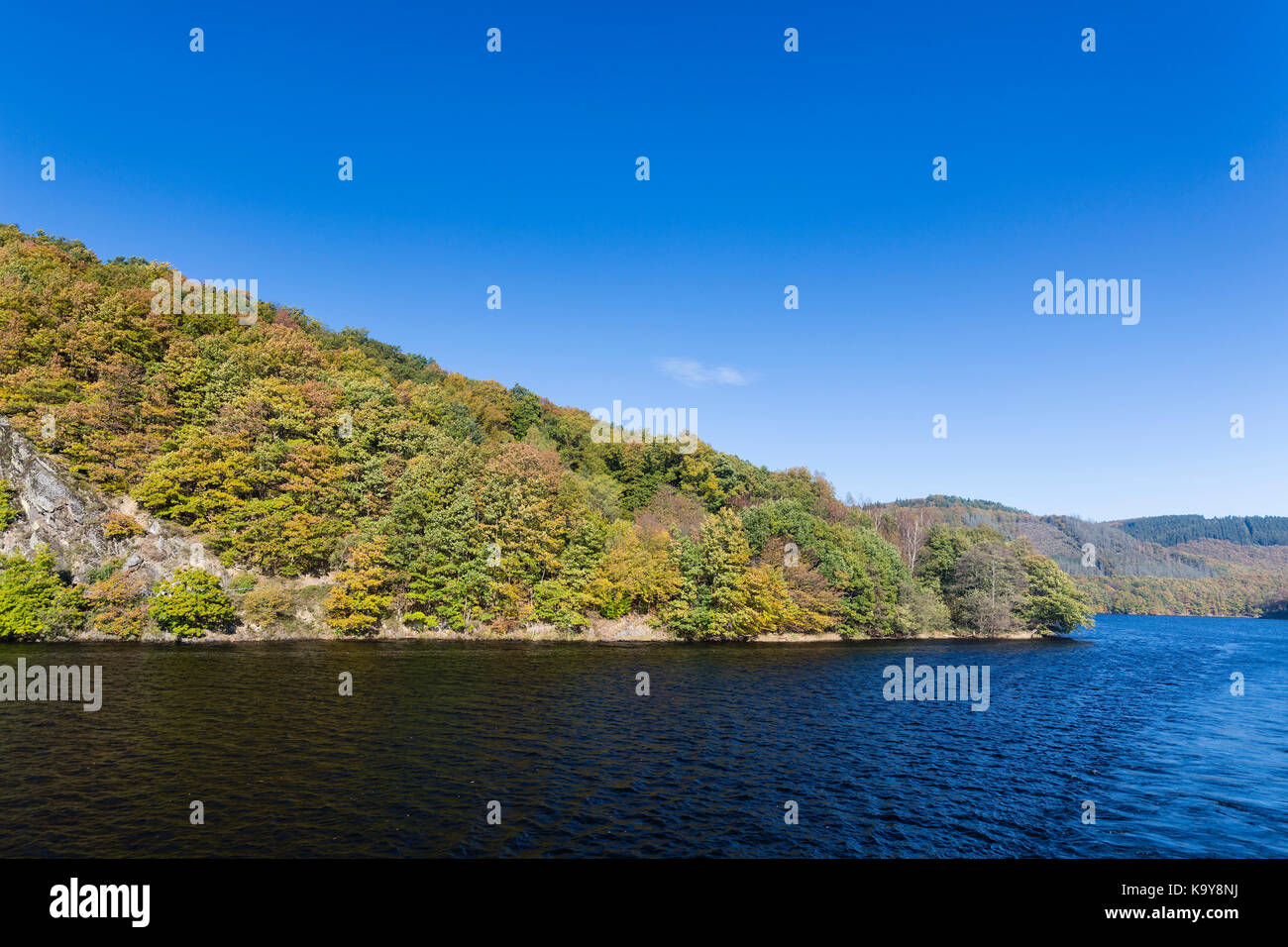 Colorful trees at the shore of lake Rursee in the Eifel in Germany in ...