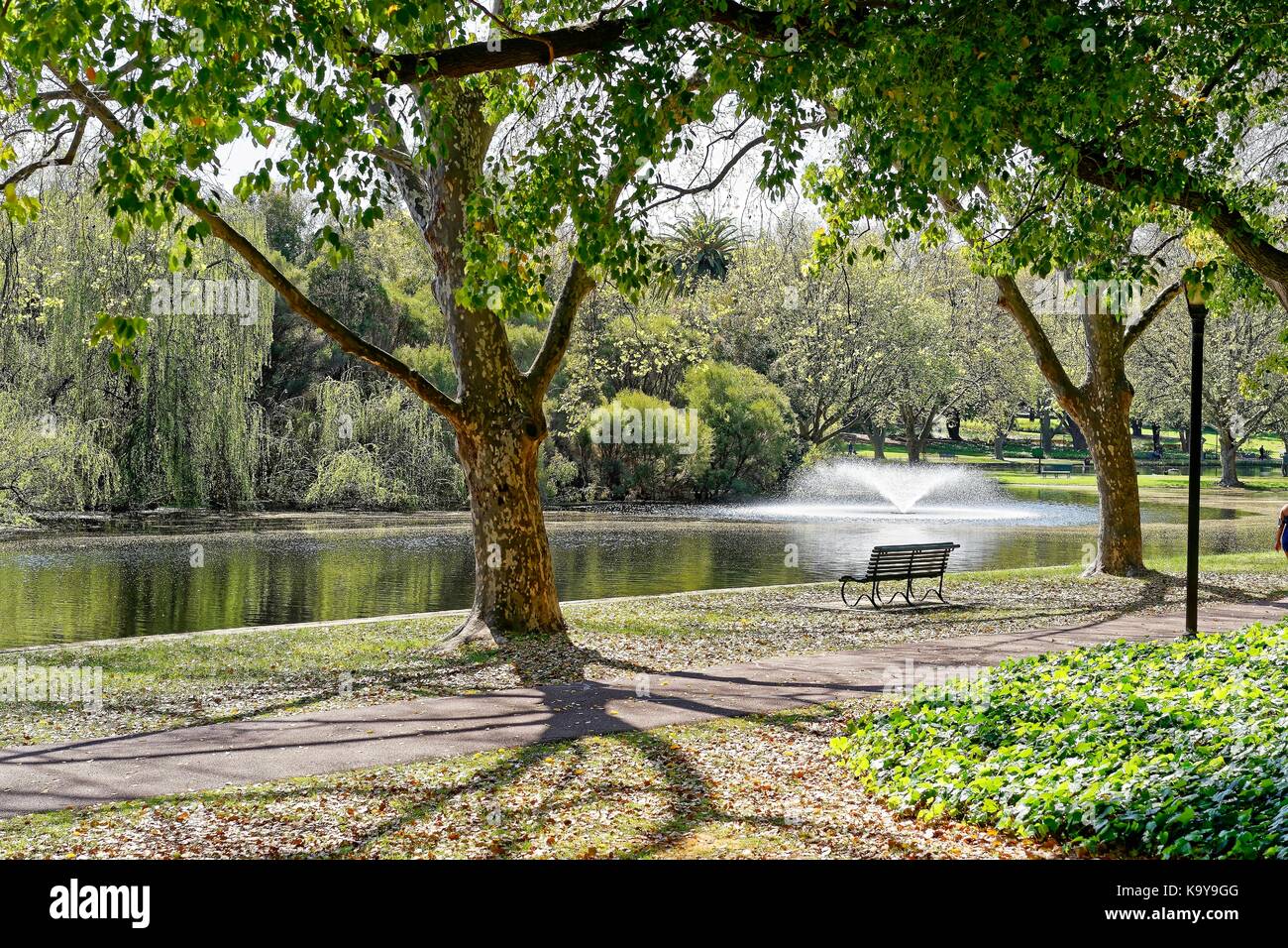 Hyde Park Perth Spring Stock Photo - Alamy