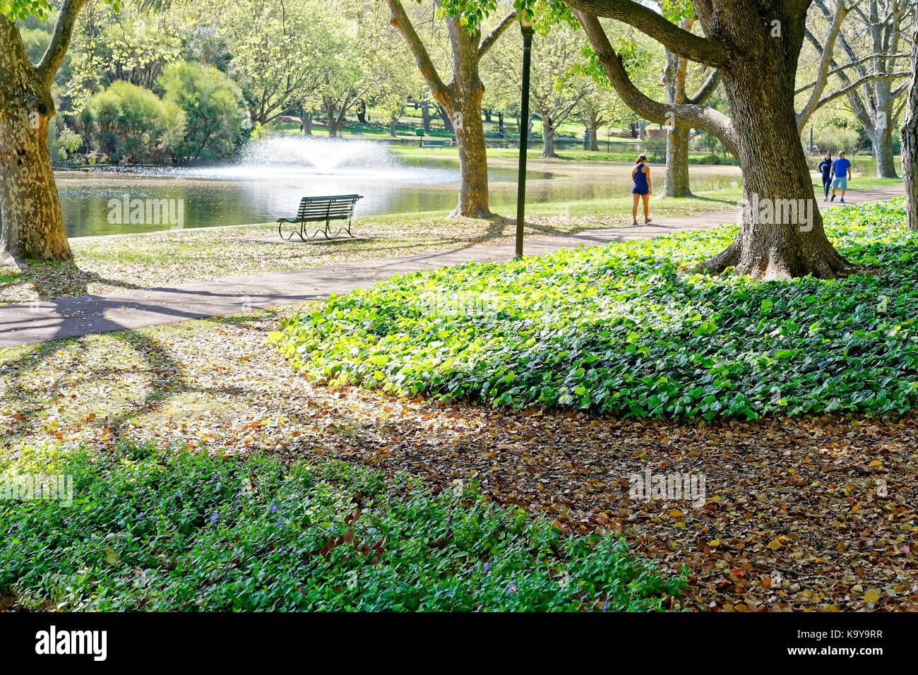 Hyde Park Perth Spring Stock Photo - Alamy