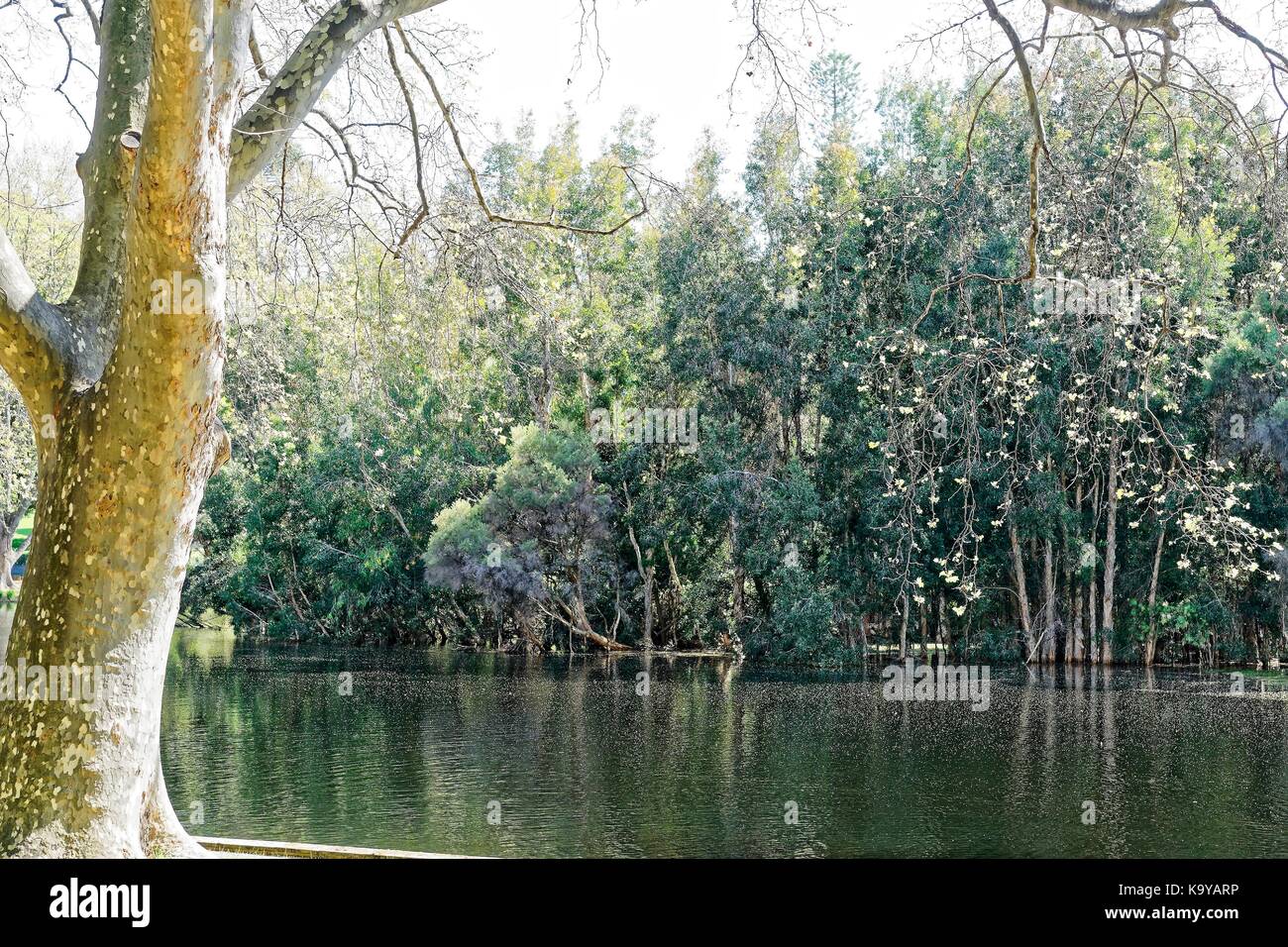 Hyde Park Perth Spring Stock Photo - Alamy