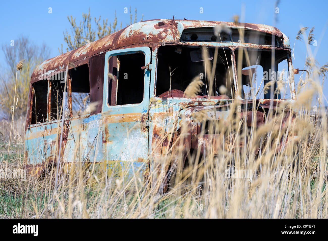 Old and abandoned Soviet Russian bus in the middle of reeds in rural ...
