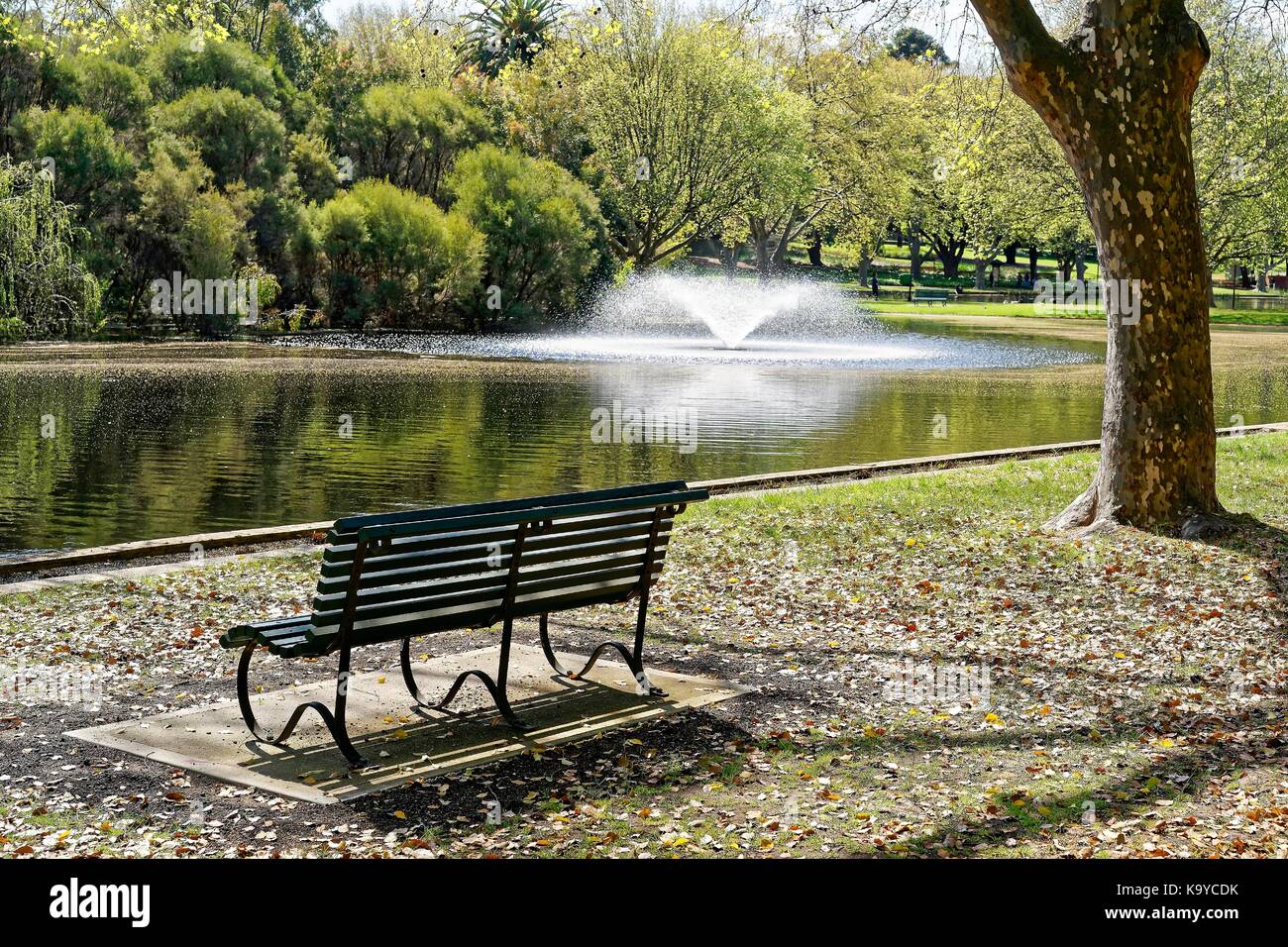 Hyde Park Perth Spring Stock Photo - Alamy