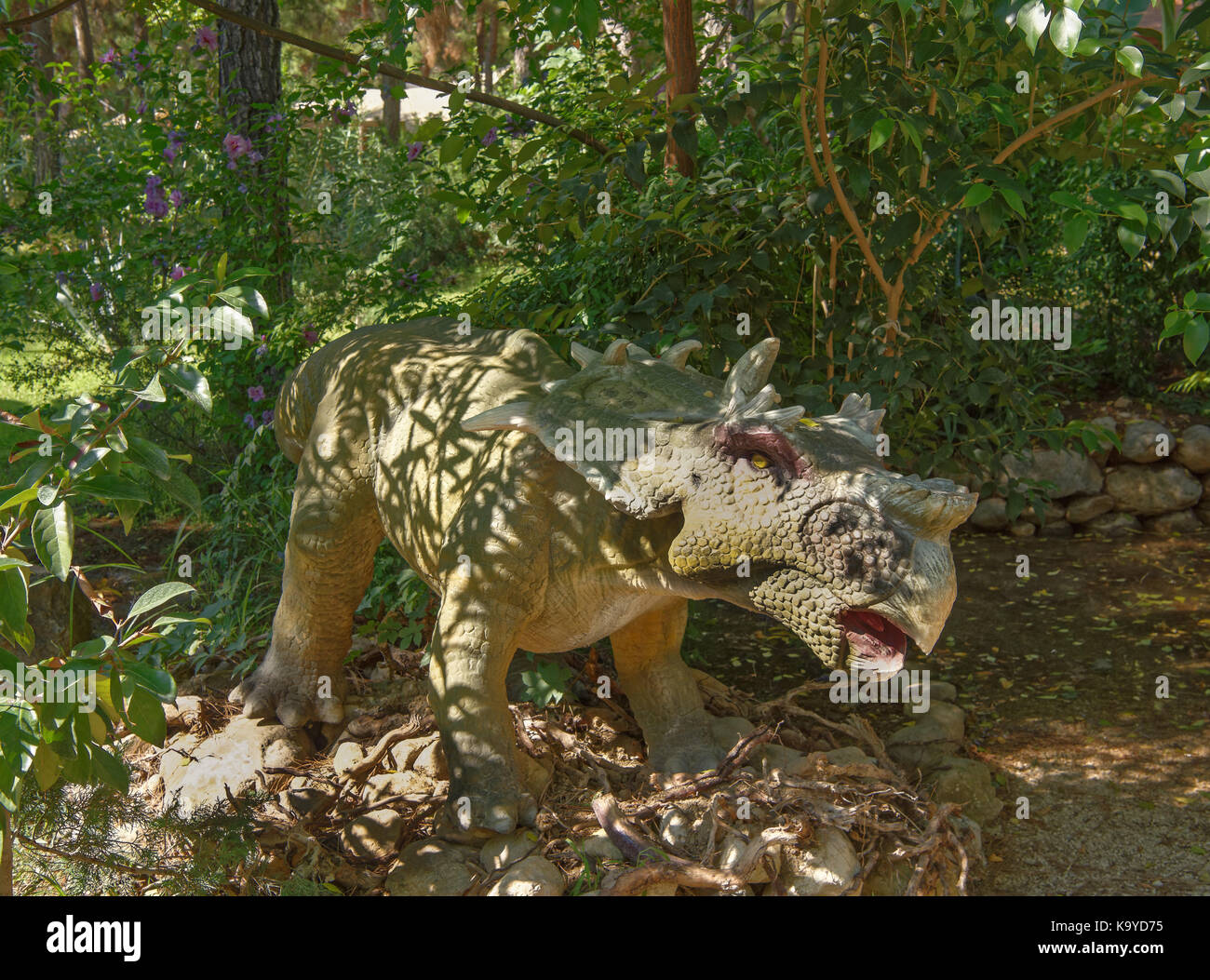 Monoclonius High Resolution Stock Photography and Images - Alamy