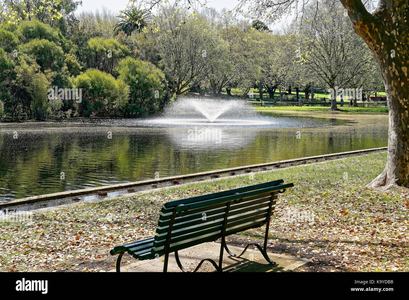 Hyde Park Perth Spring Stock Photo - Alamy