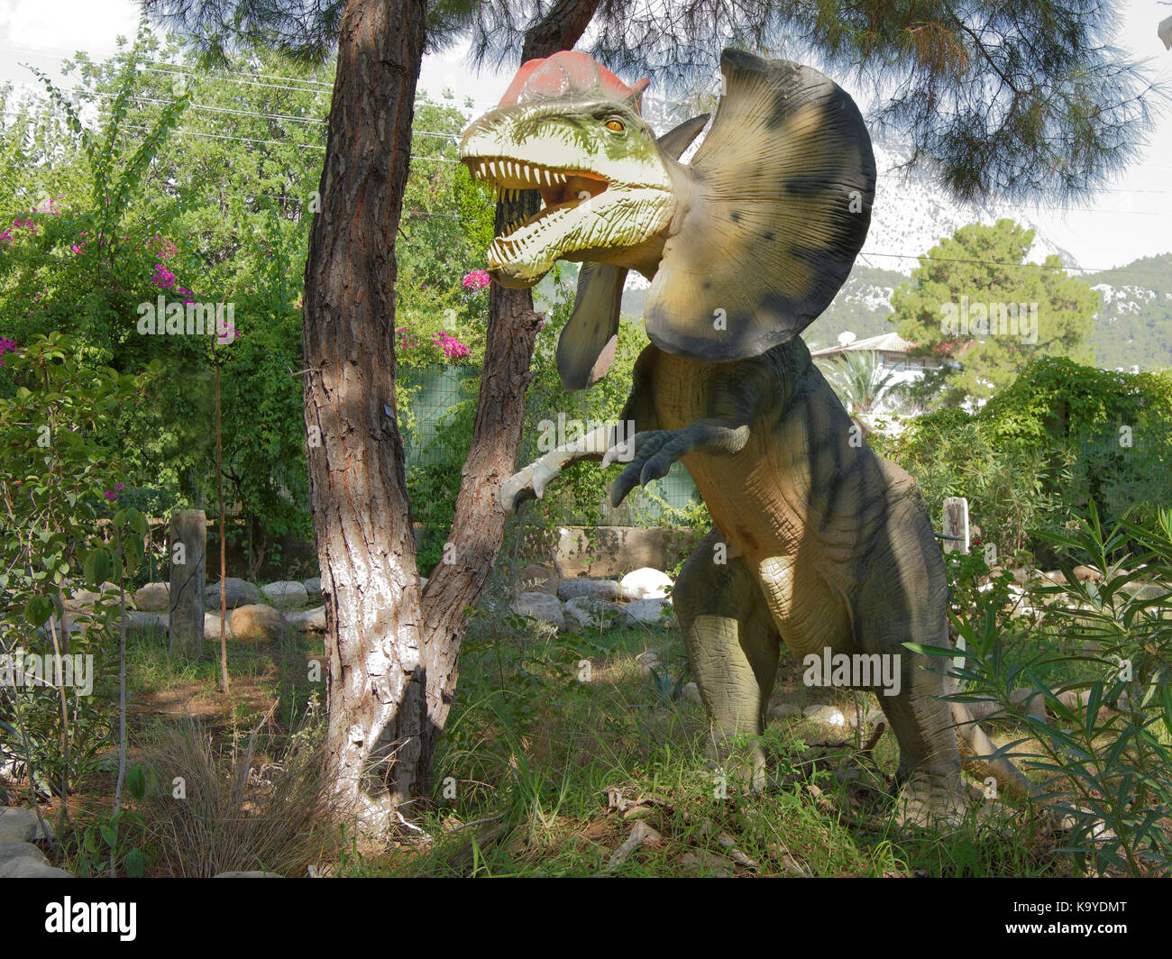 Dilophosaurus High Resolution Stock Photography and Images - Alamy