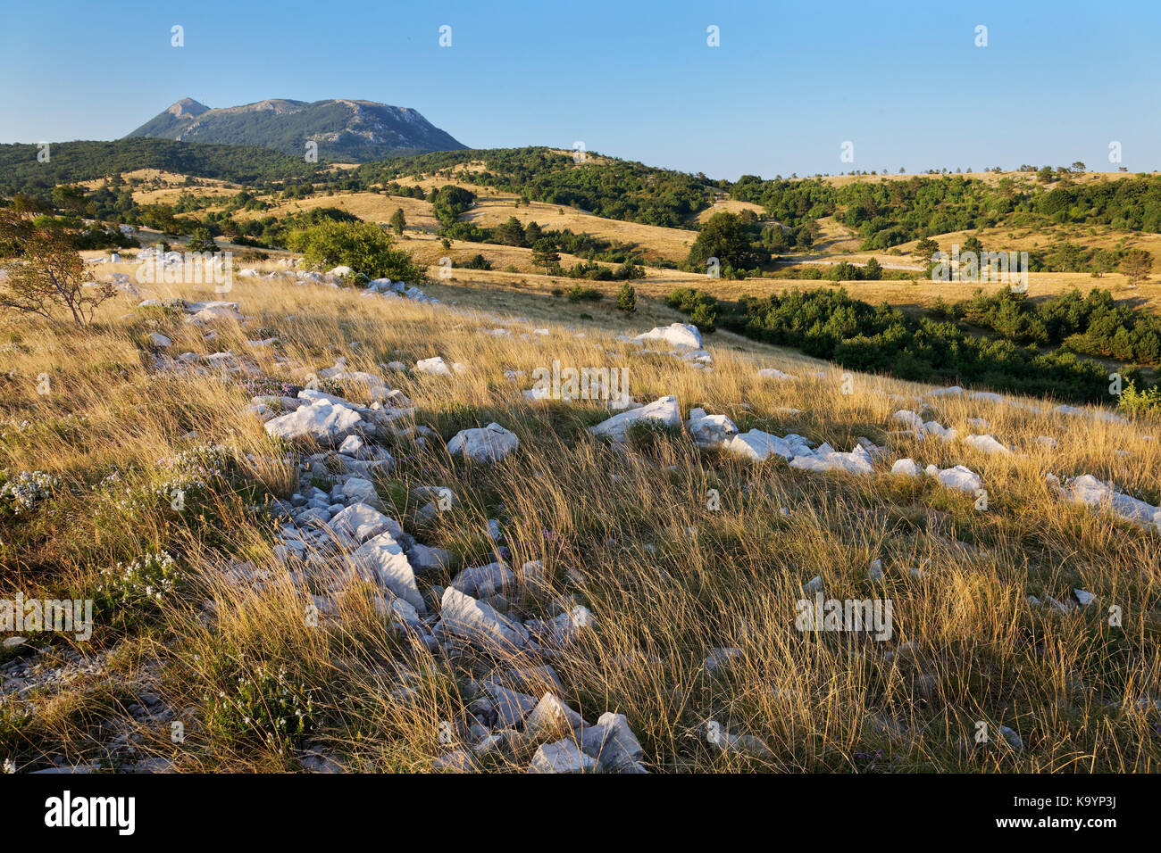 Grassland and forest in Ucka Nature Park Stock Photo - Alamy