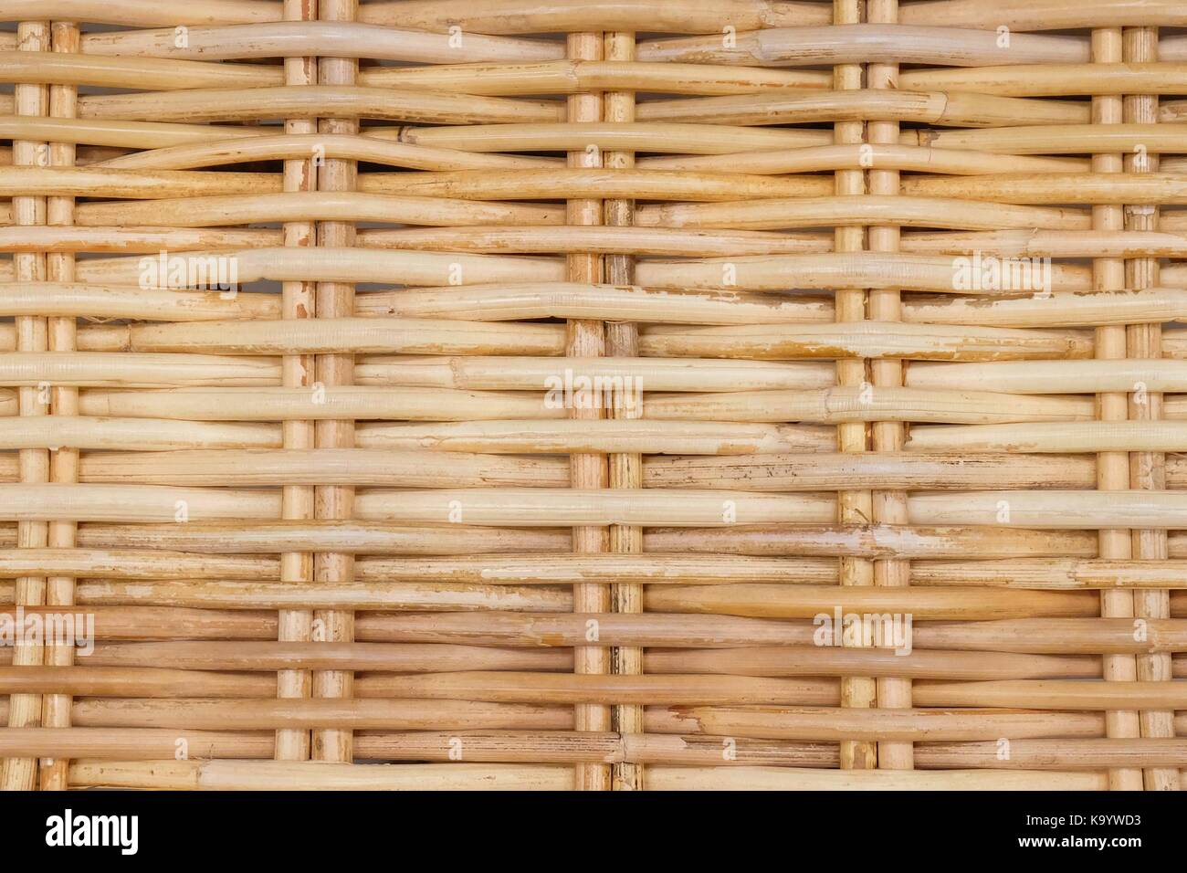 Rattan plant hi-res stock photography and images - Alamy
