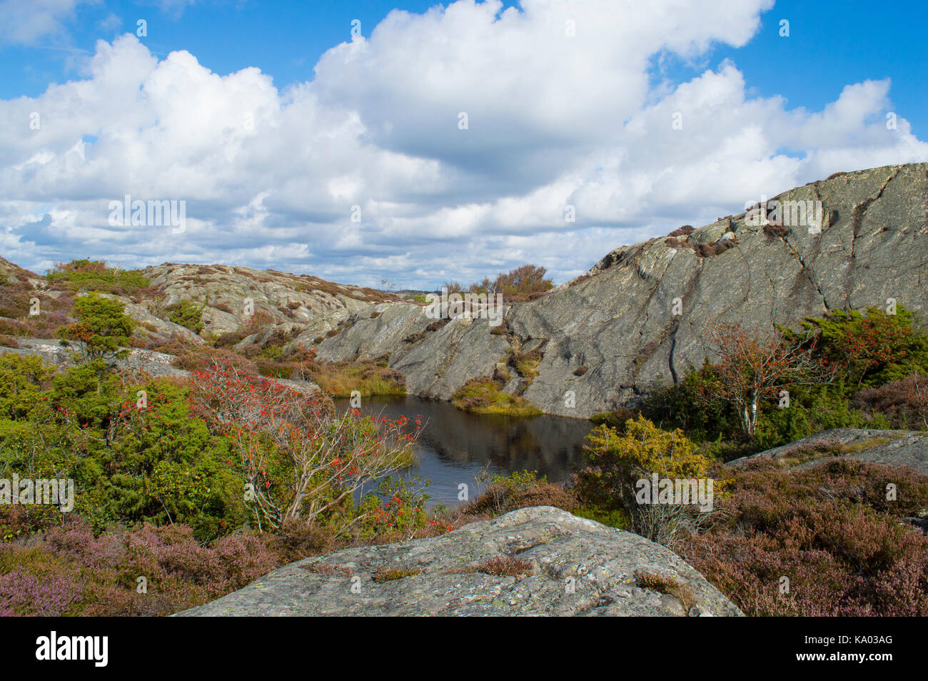 Gothenburg Archipelago High Resolution Stock Photography and Images - Alamy
