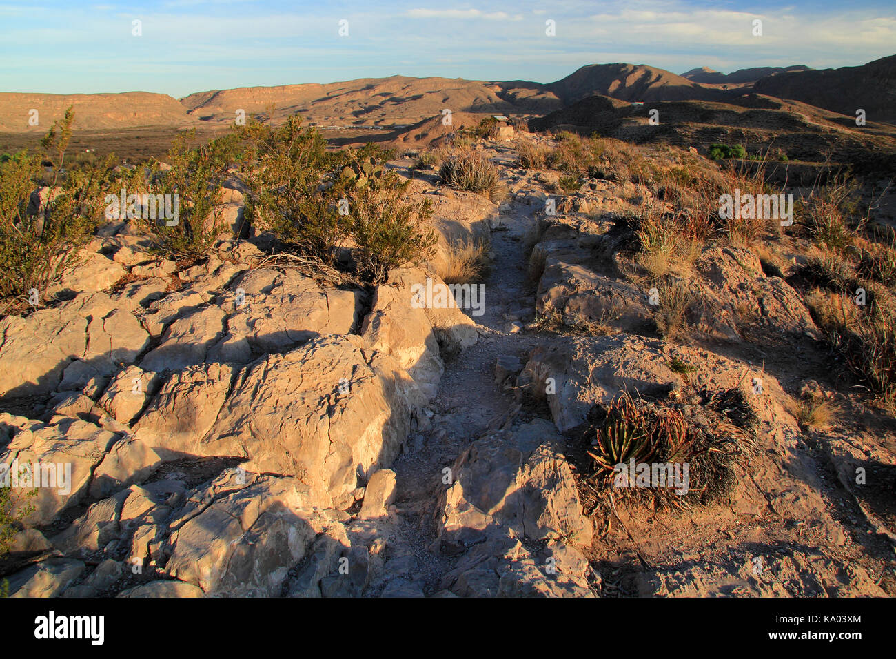 The Rio Grande Village Nature Trail provides visitors with easy access ...