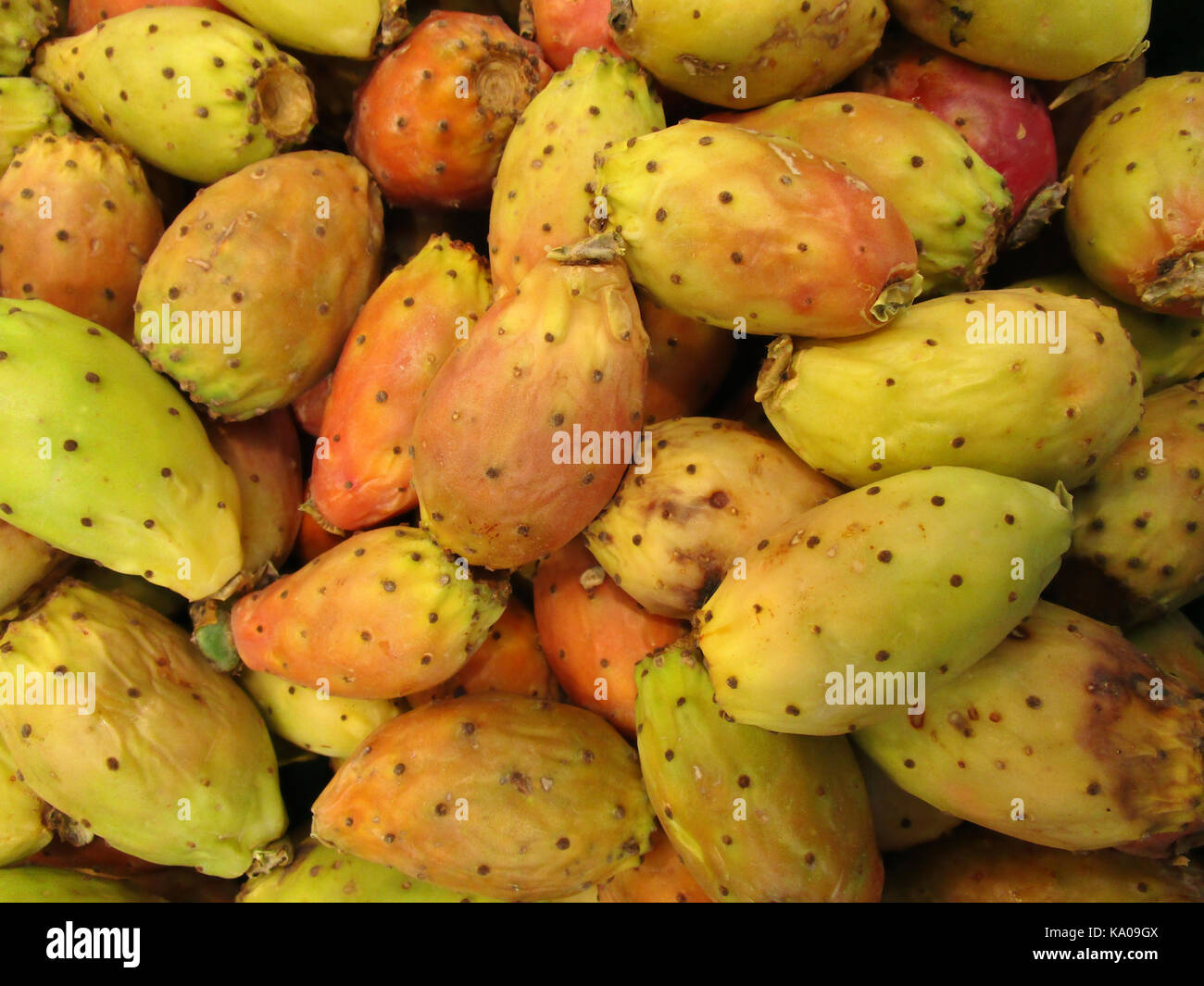 Indian figs hi-res stock photography and images - Alamy