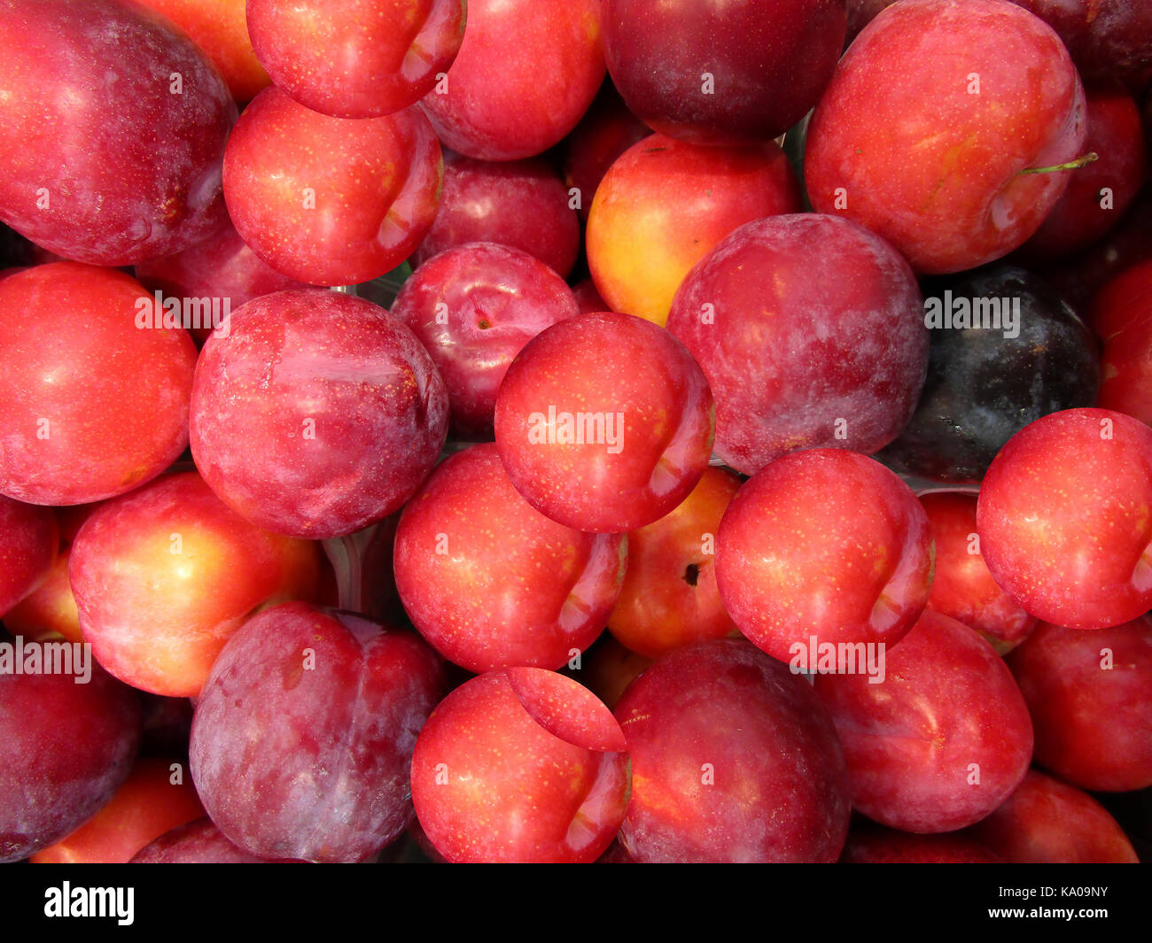 Food salts hi-res stock photography and images - Alamy