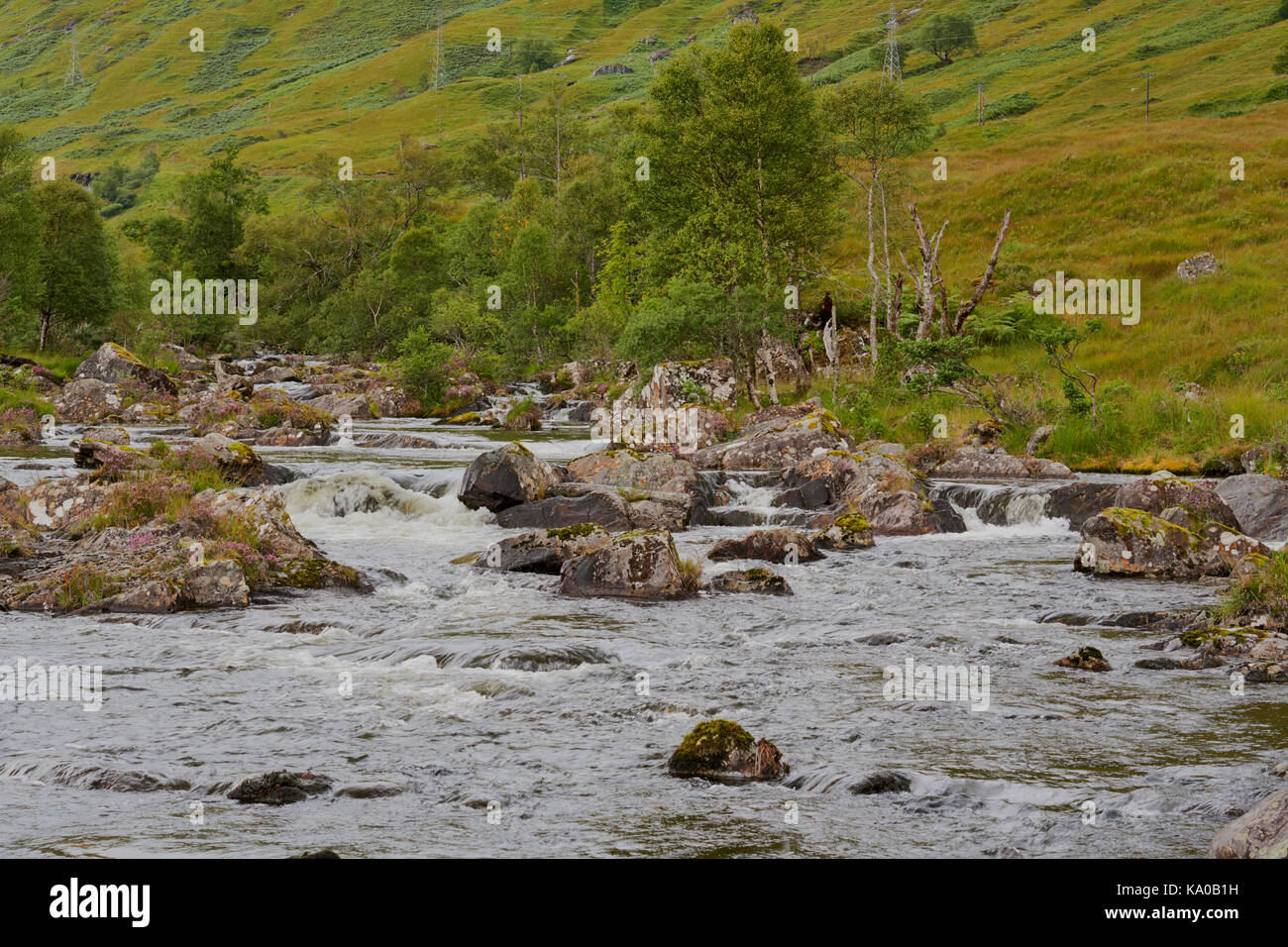 Flows northwest hi-res stock photography and images - Alamy