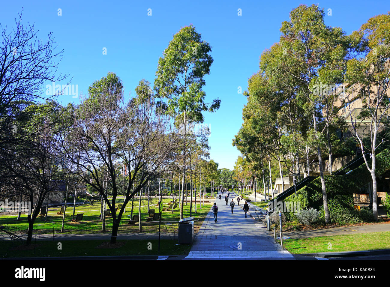 Usyd hi-res stock photography and images - Alamy