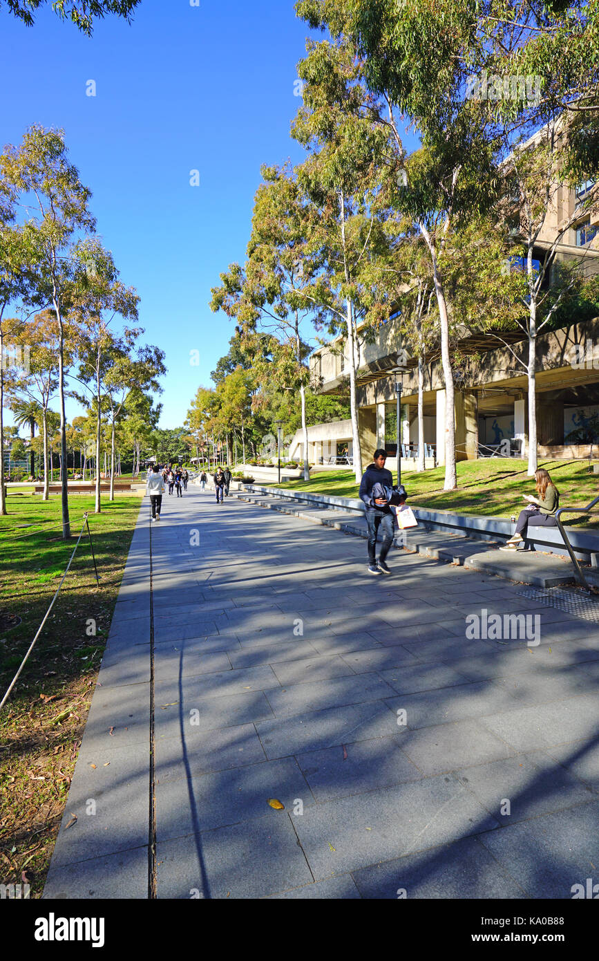View of the campus of the University of Sydney (USyd), one of the most ...