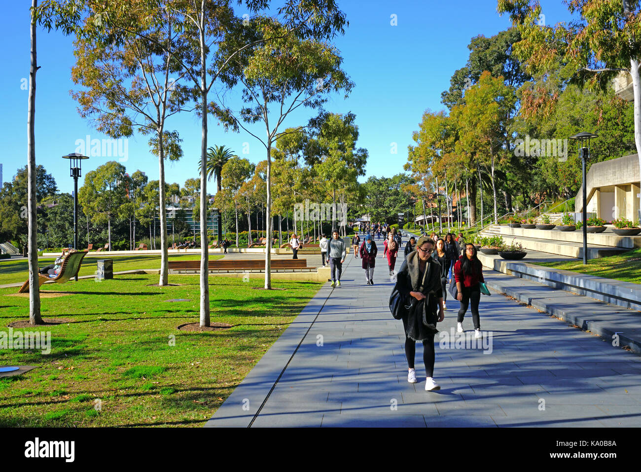 View of the campus of the University of Sydney (USyd), one of the most ...