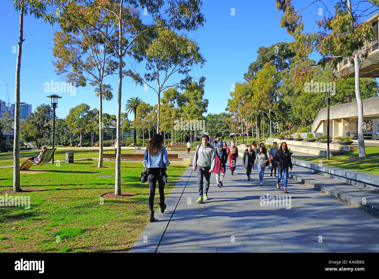View of the campus of the University of Sydney (USyd), one of the most ...