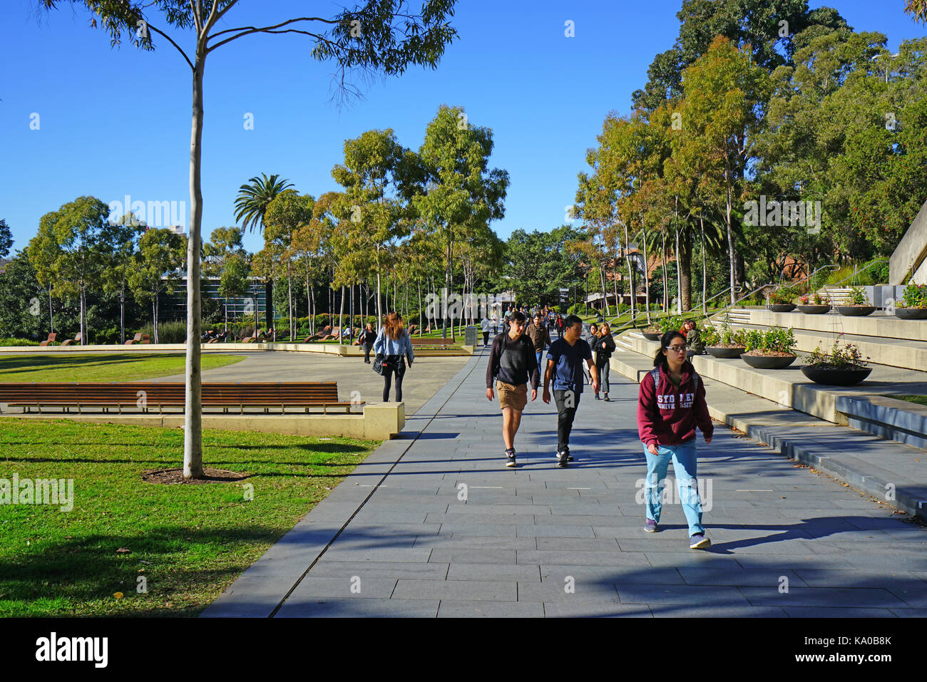 View of the campus of the University of Sydney (USyd), one of the most ...