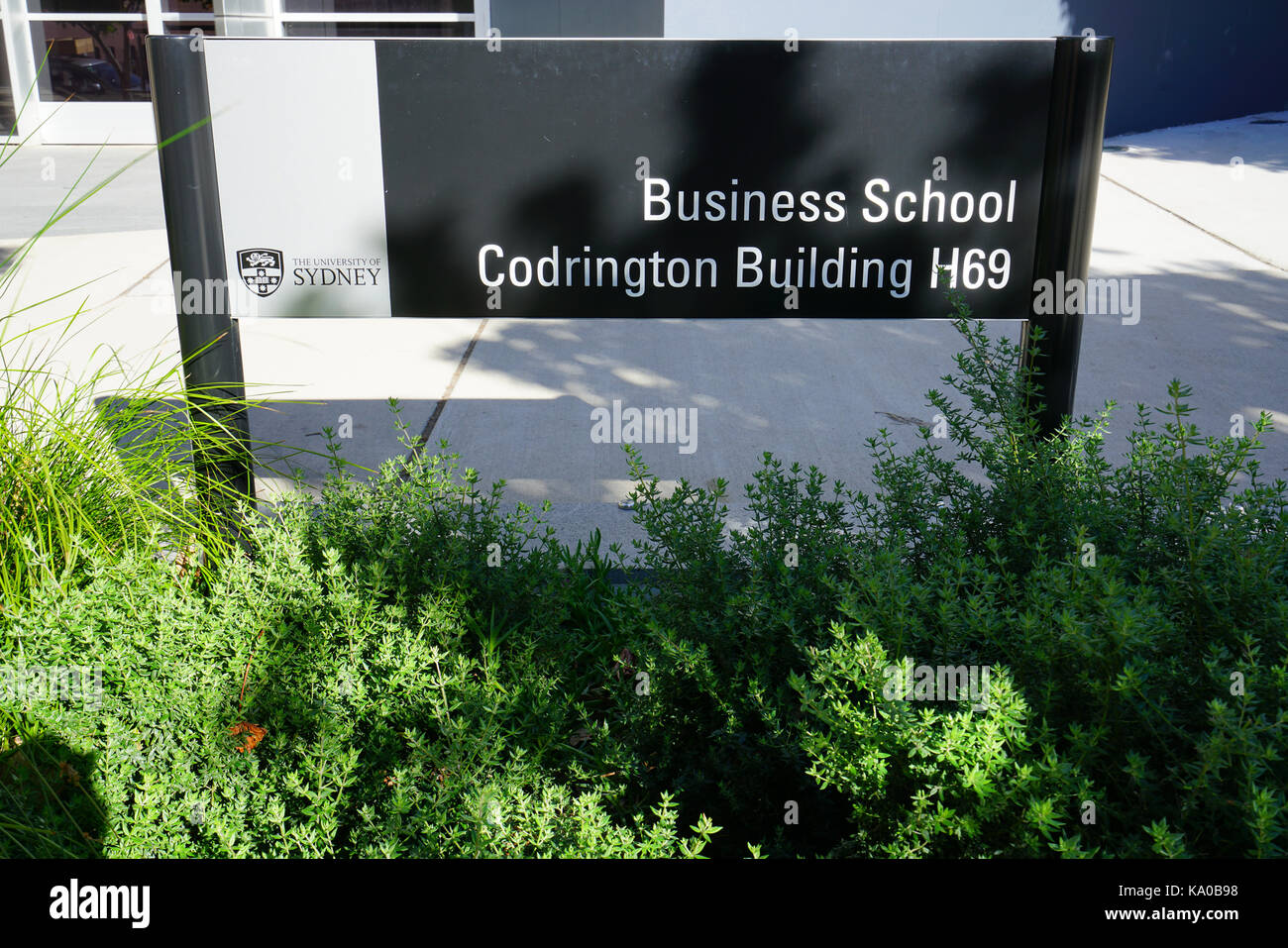View of the campus of the University of Sydney (USyd), one of the most ...