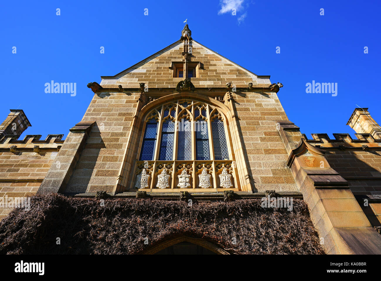 View of the campus of the University of Sydney (USyd), one of the most ...