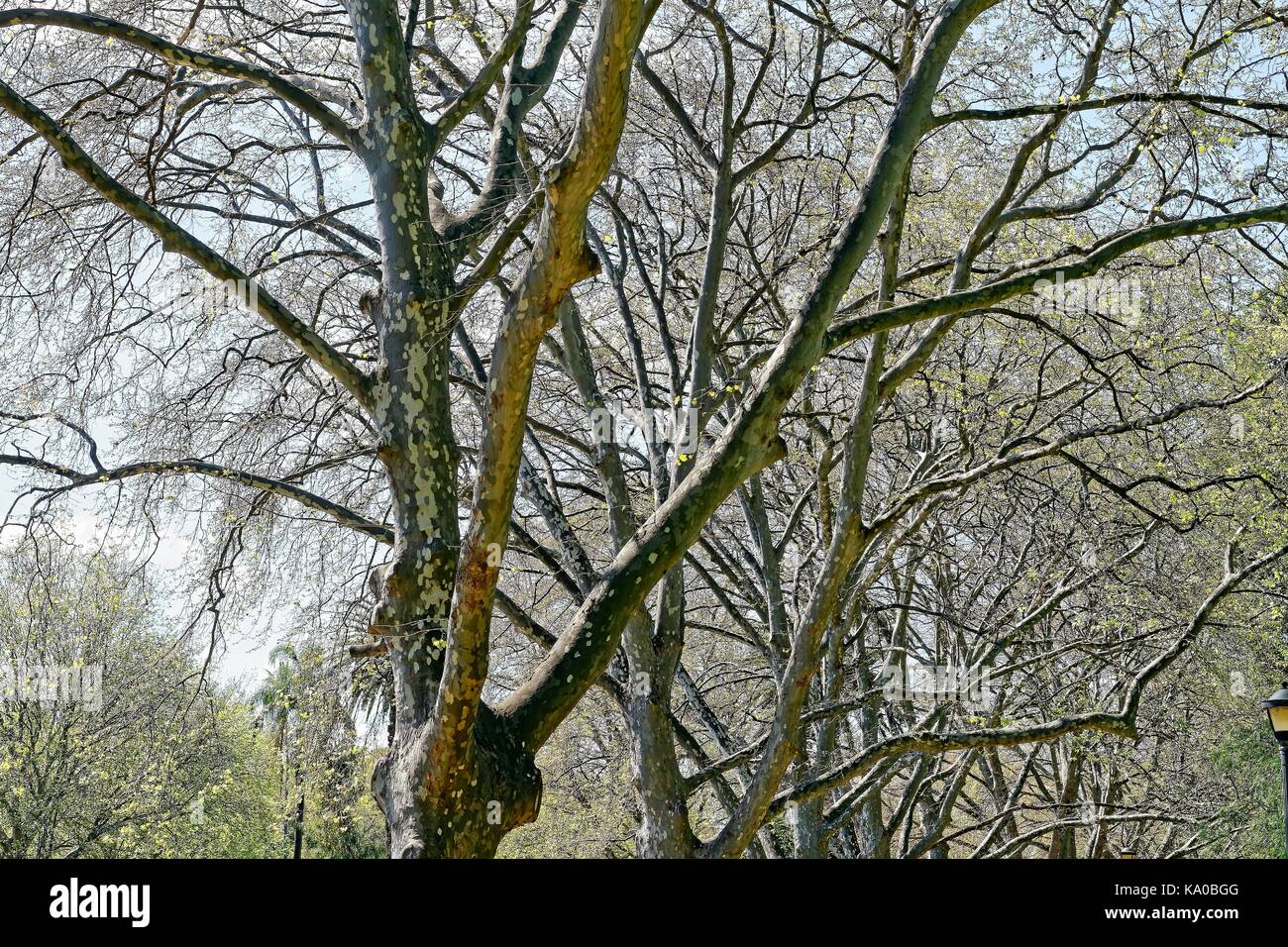 Sony alpha perth hi-res stock photography and images - Alamy